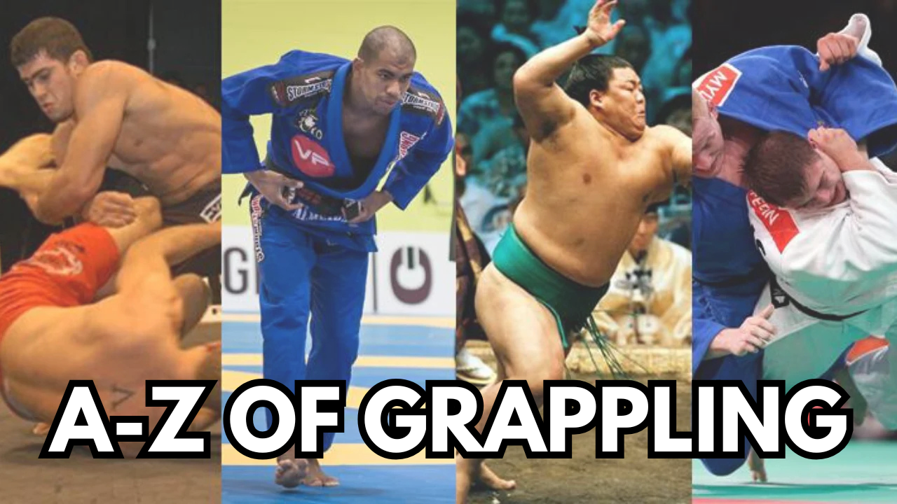 The World of Grappling: An A–Z Tour of Wrestling Arts – The Jiu Jitsu ...